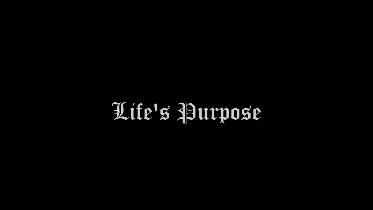 What is the reason for life.