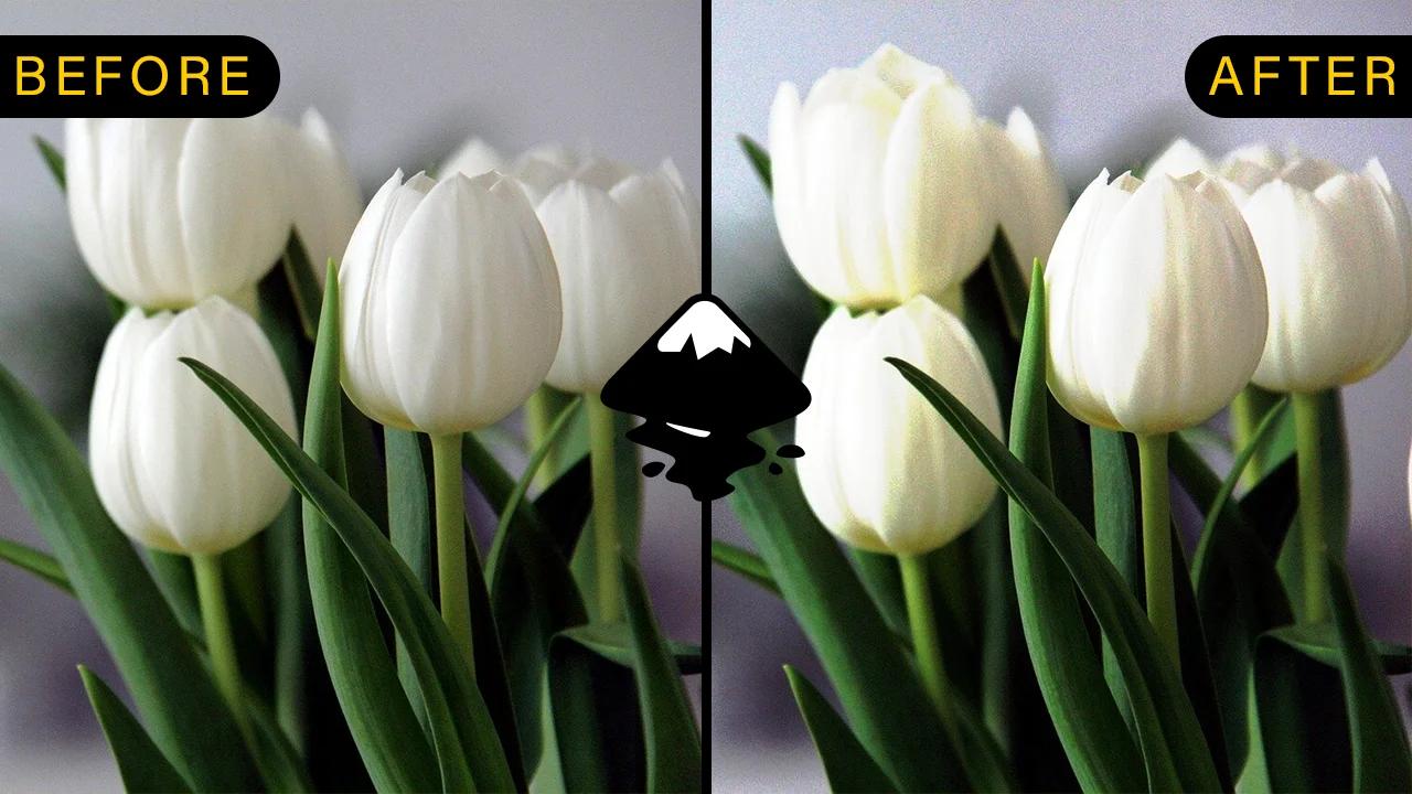 Edit photos using the Equalize function in Inkscape