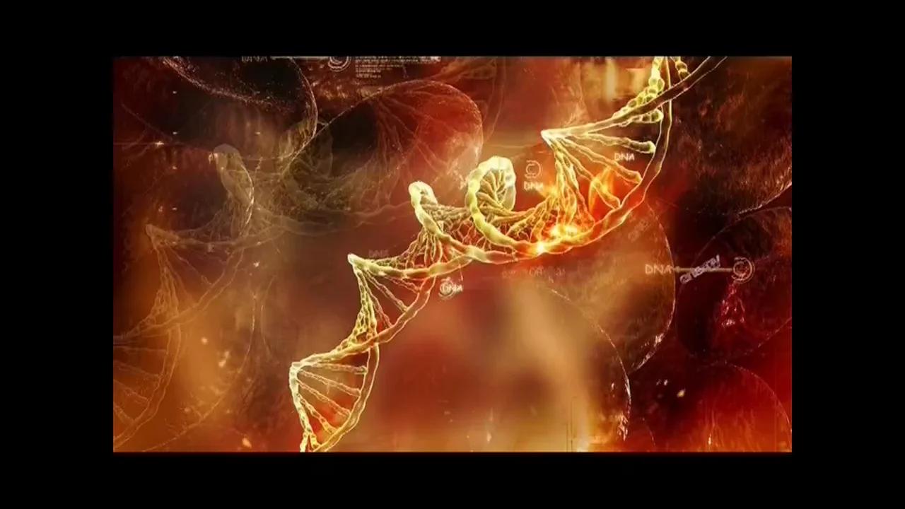 275 - Triple Helix DNA | 666 & 144'000 - von Savannah Nobel