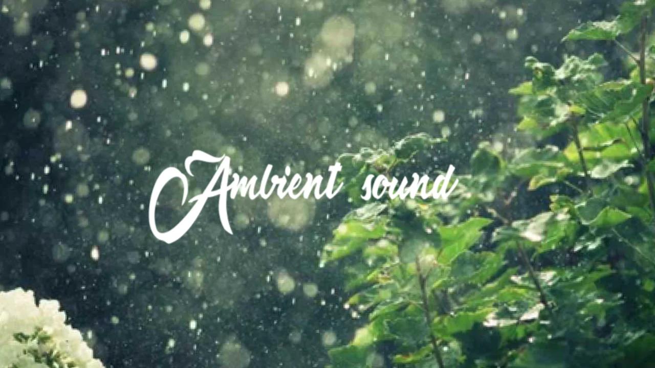 Ambient Relaxing Sounds, For Working, Relaxing, siting in Nature by ...