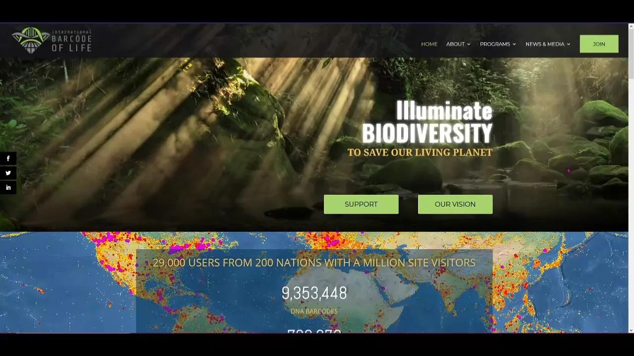 ¿Sabes qué es el International Barcode of Life (Ibol)?