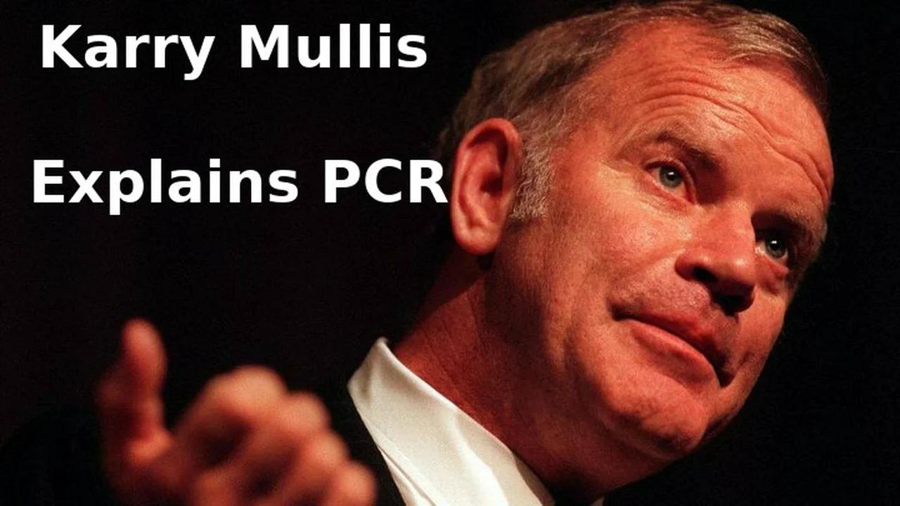 Karry Mullis Explains PCR