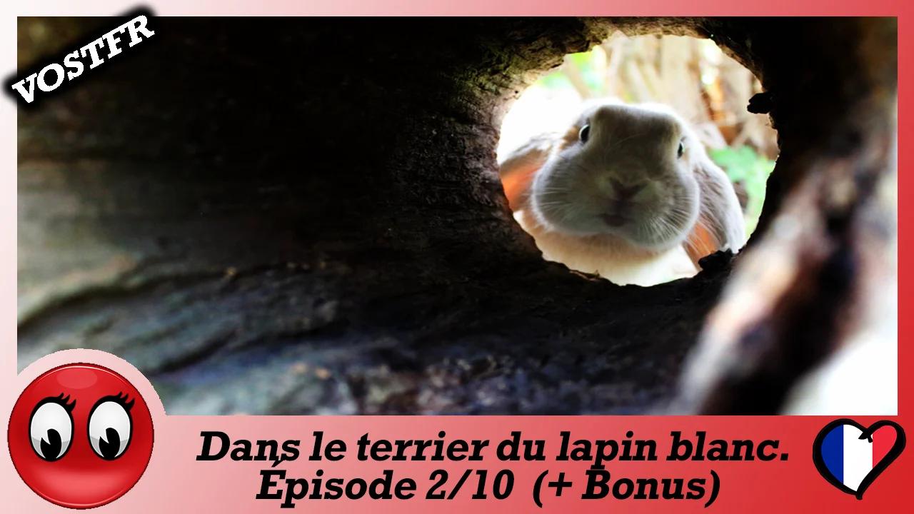 (VOSTFR) Dans le terrier du lapin blanc. Épisode 2/10 Janet Ossebaard ...
