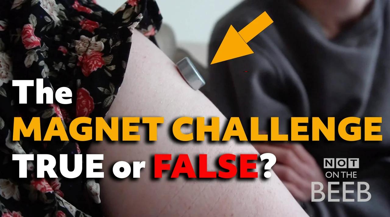 The Magnet Challenge. True of False? 'Not On The Beeb' investigates.