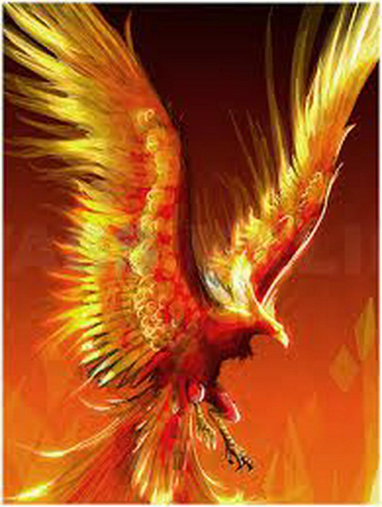 Arveda tarot & astrologie