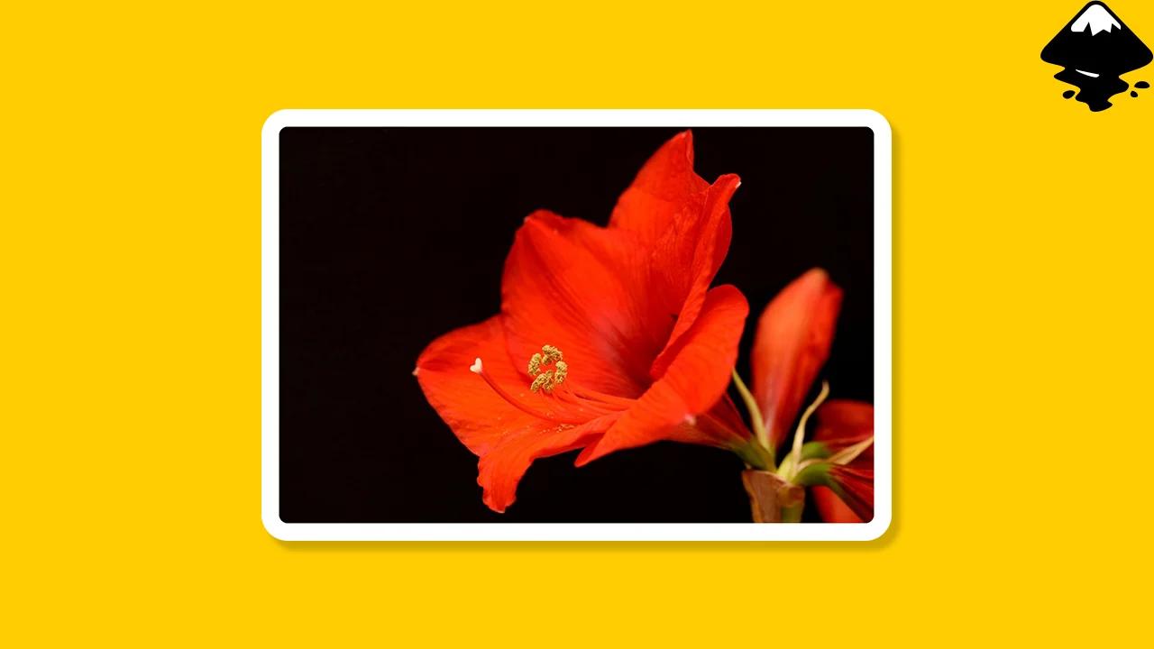 How to render a frame in Inkscape