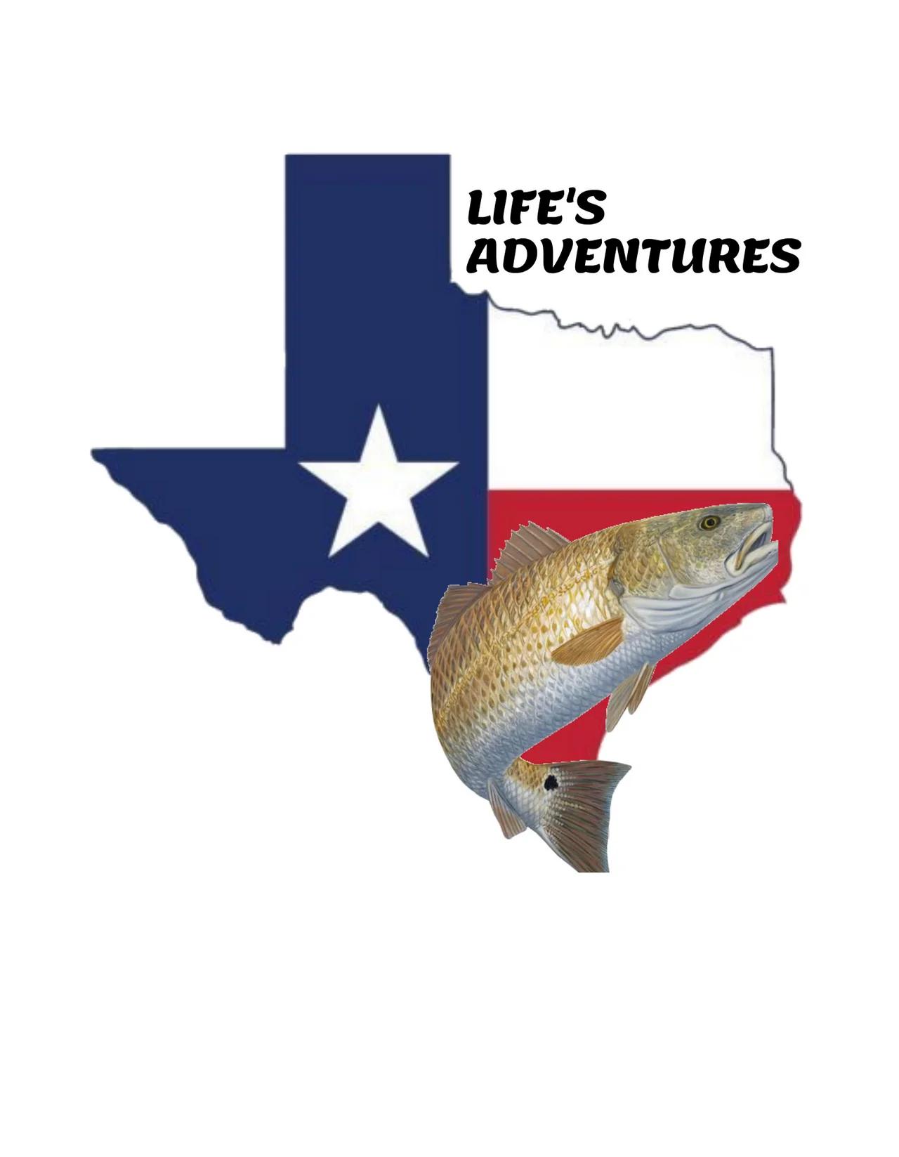 life's adventures