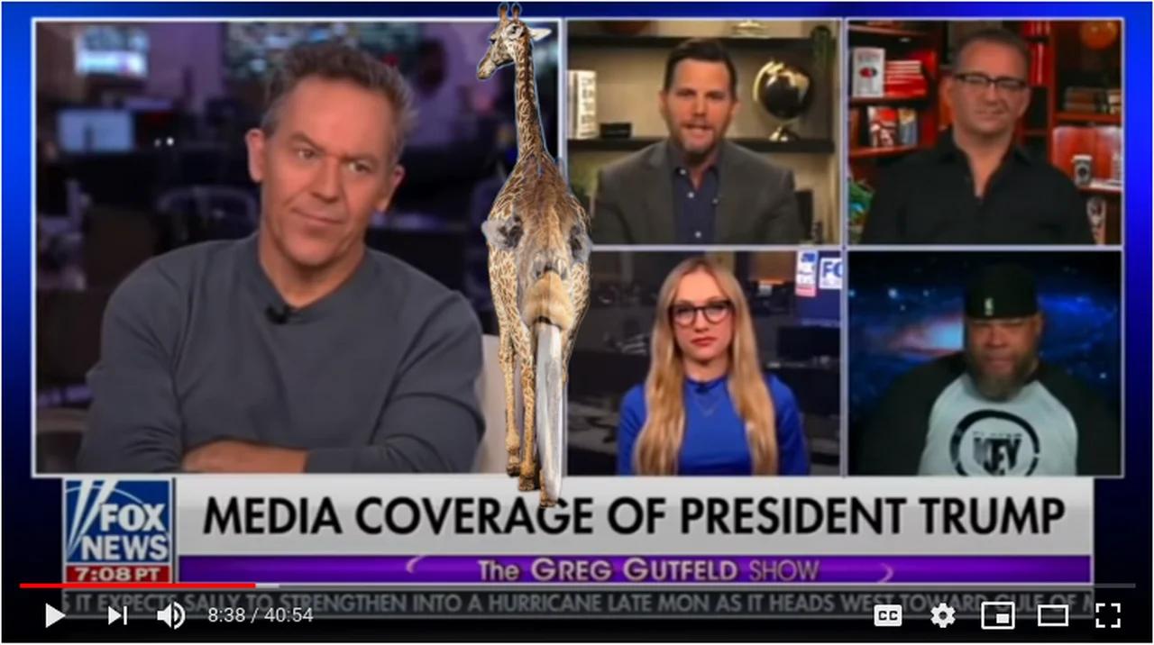 'Greg Gutfeld Show' FULL Show | 2020-09-12