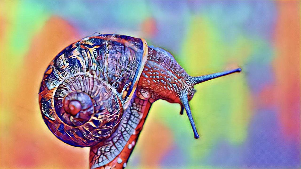 Doorbell Camera Records a Snail