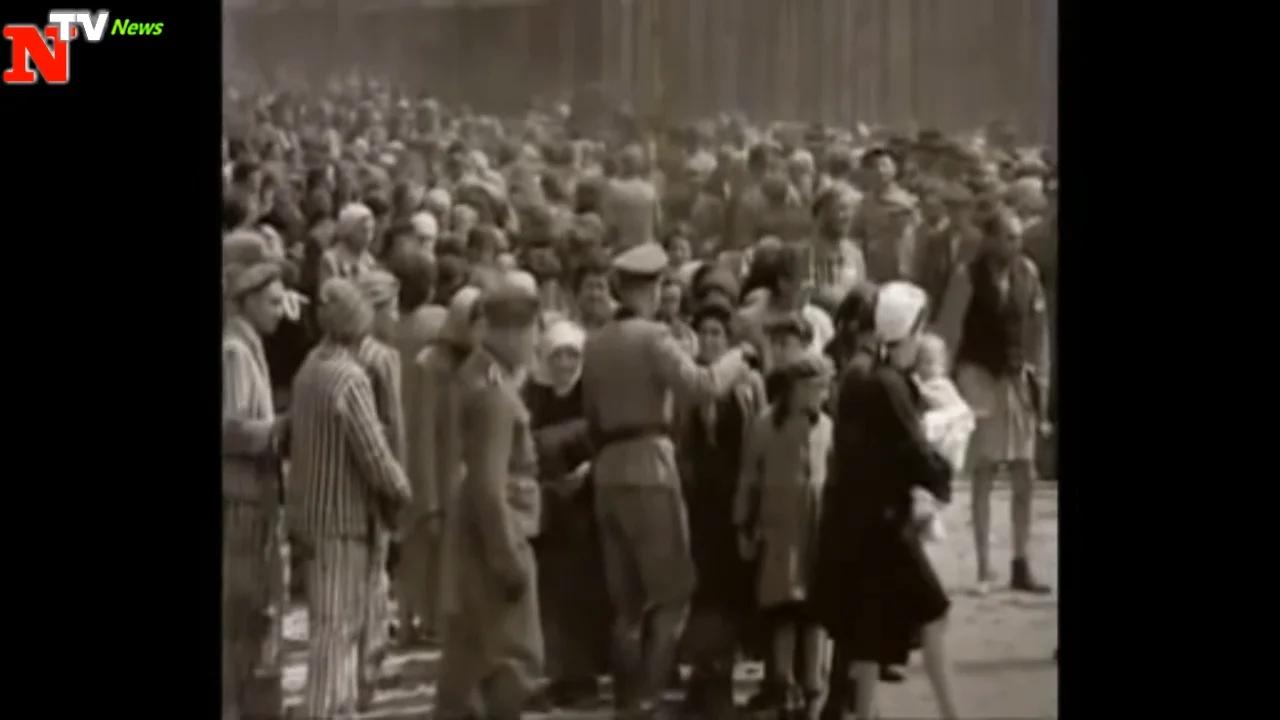 🚃 La déportation : Les wagons de la mort et l'arrivée à Auschwitz - III ...