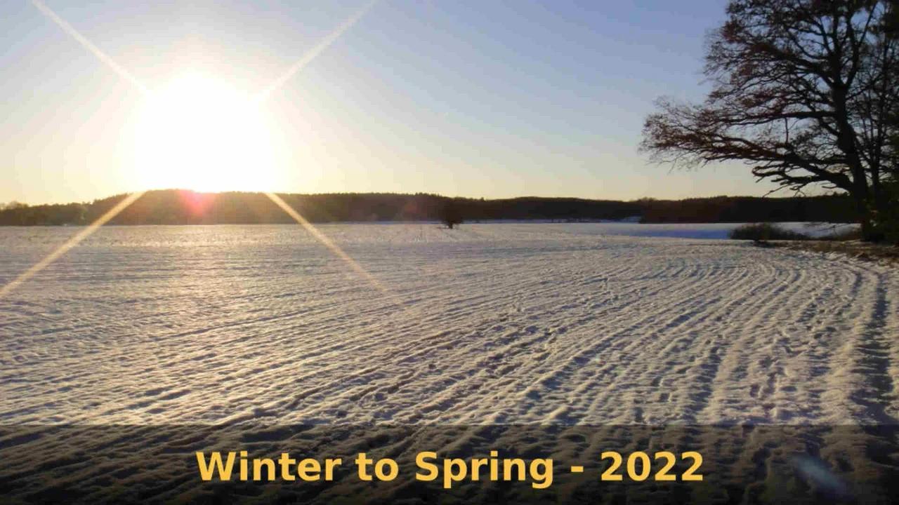 Winter to Spring 2022