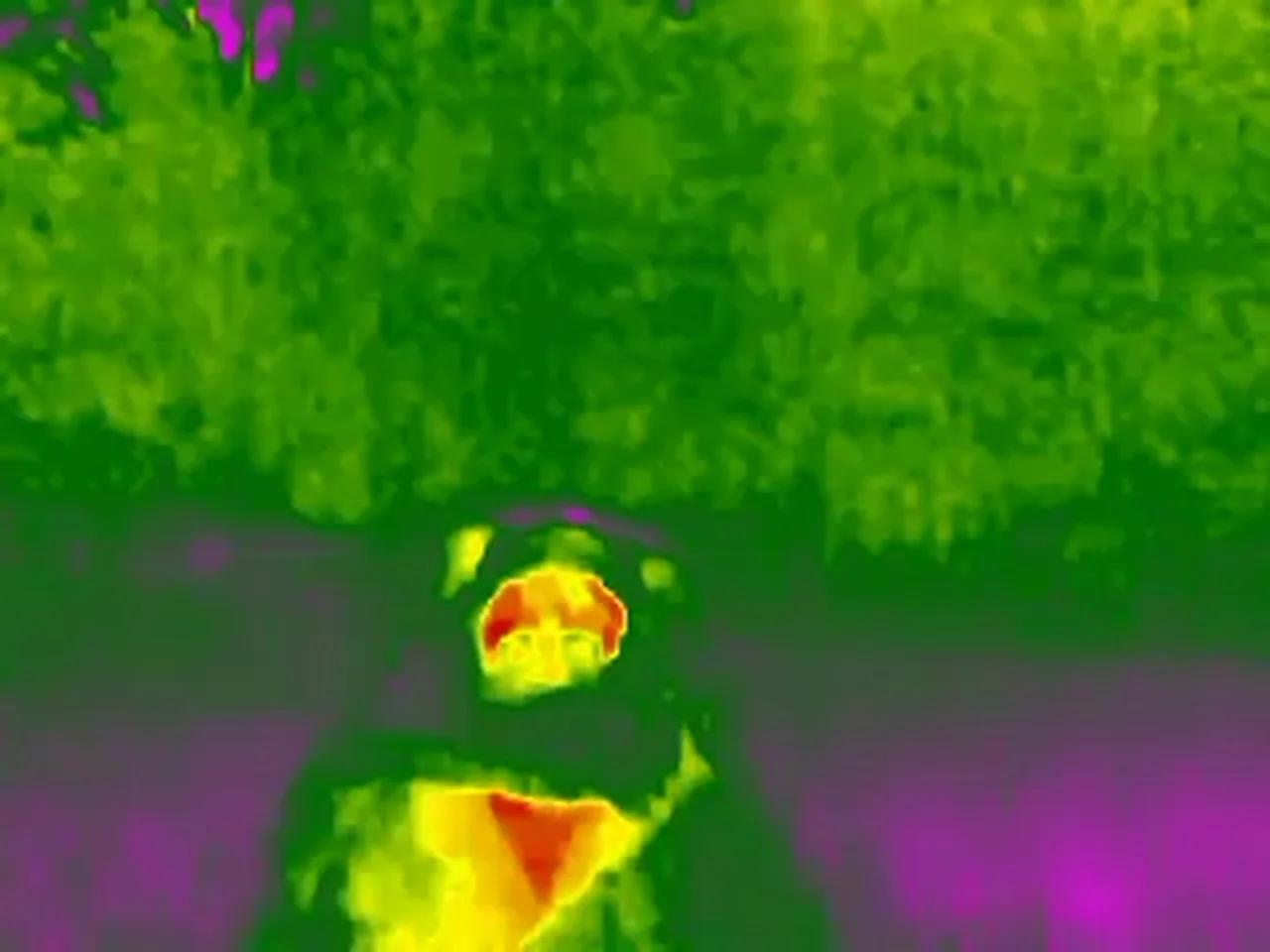 Thermal cloak test (snake bite tactical) $2000 dollars worth of equipment.