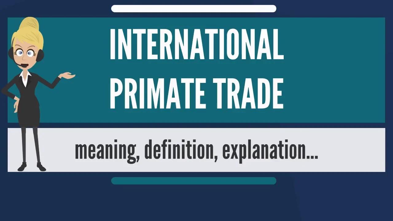What is INTERNATIONAL PRIMATE TRADE?