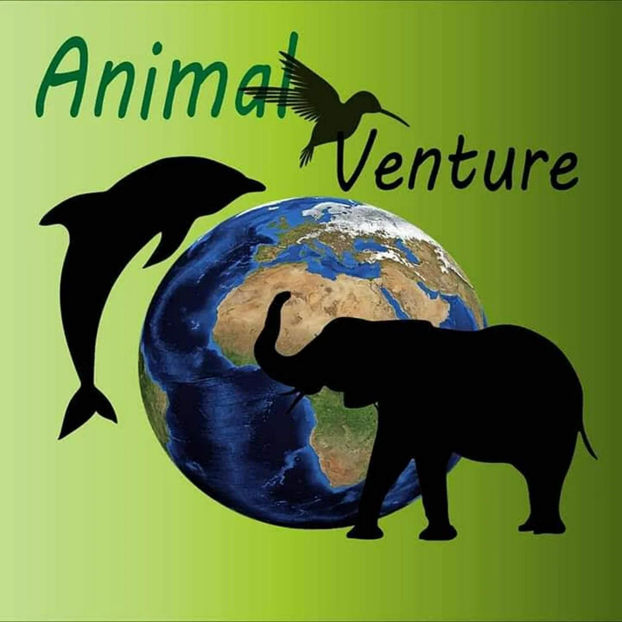 Animal Venture