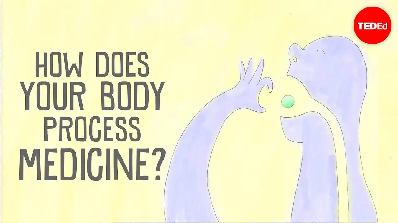 How does your body process medicine? - Céline Valéry