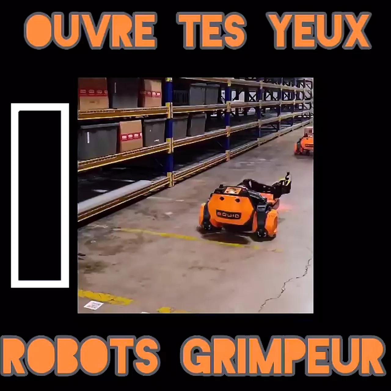 🔴Ces robots grimpeur préparateurs de commandes permettent d'automatiser n'importe quel entrepôt ...