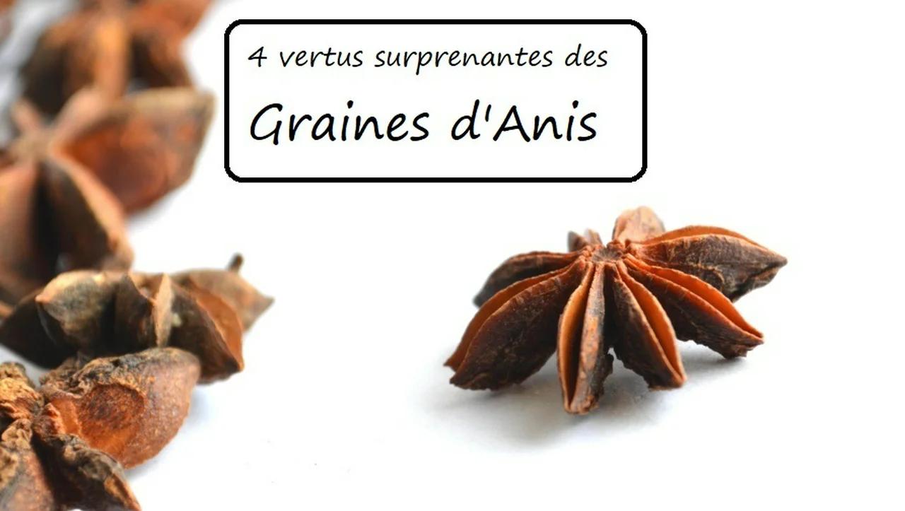 Les bienfaits des graines Anis