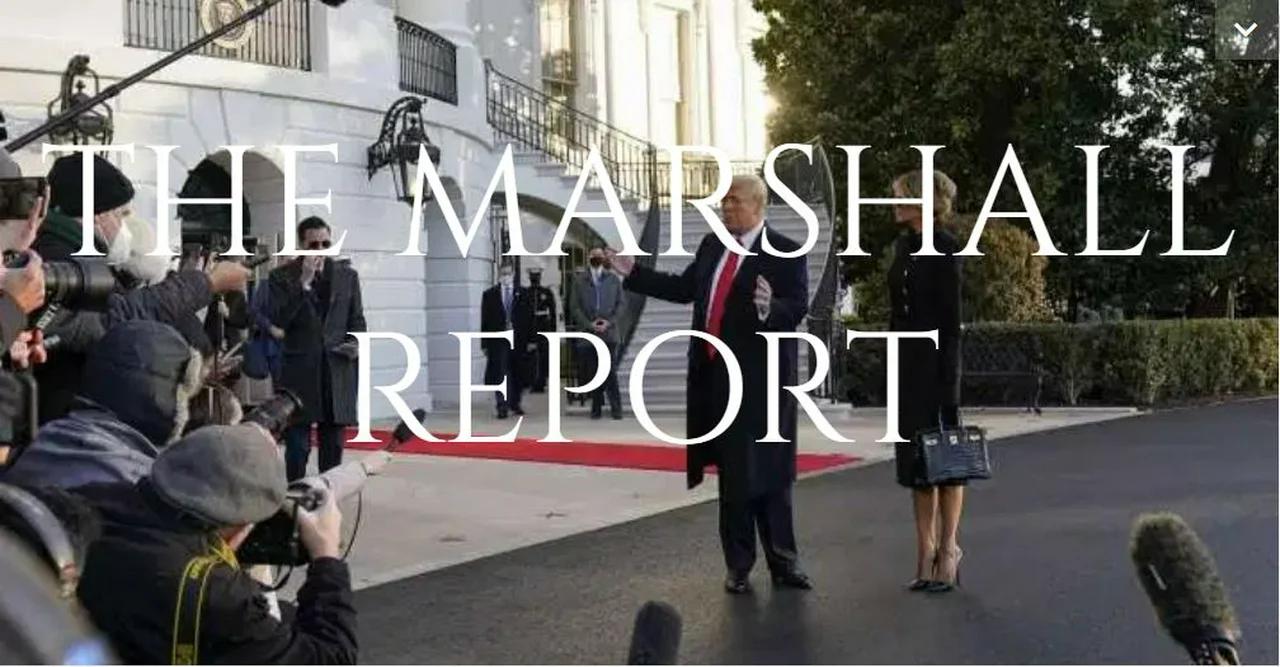 Le Rapport Marshall - Il ne s'est rien passé le 20 janvier à Washington ...