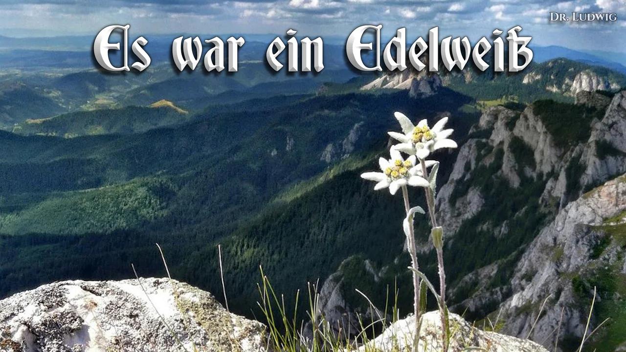 Es war ein Edelweiß [German march and soldier song][+English translation]