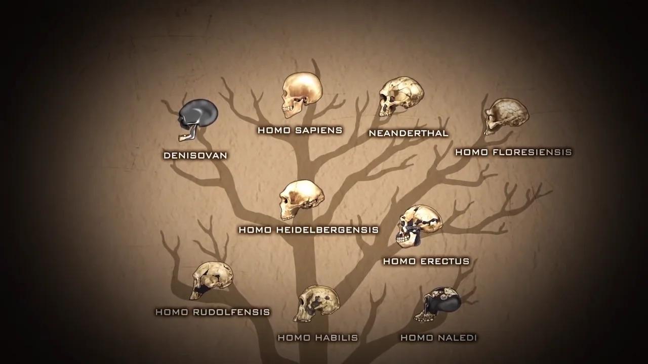 Ancient Aliens Influence on Human Evolution