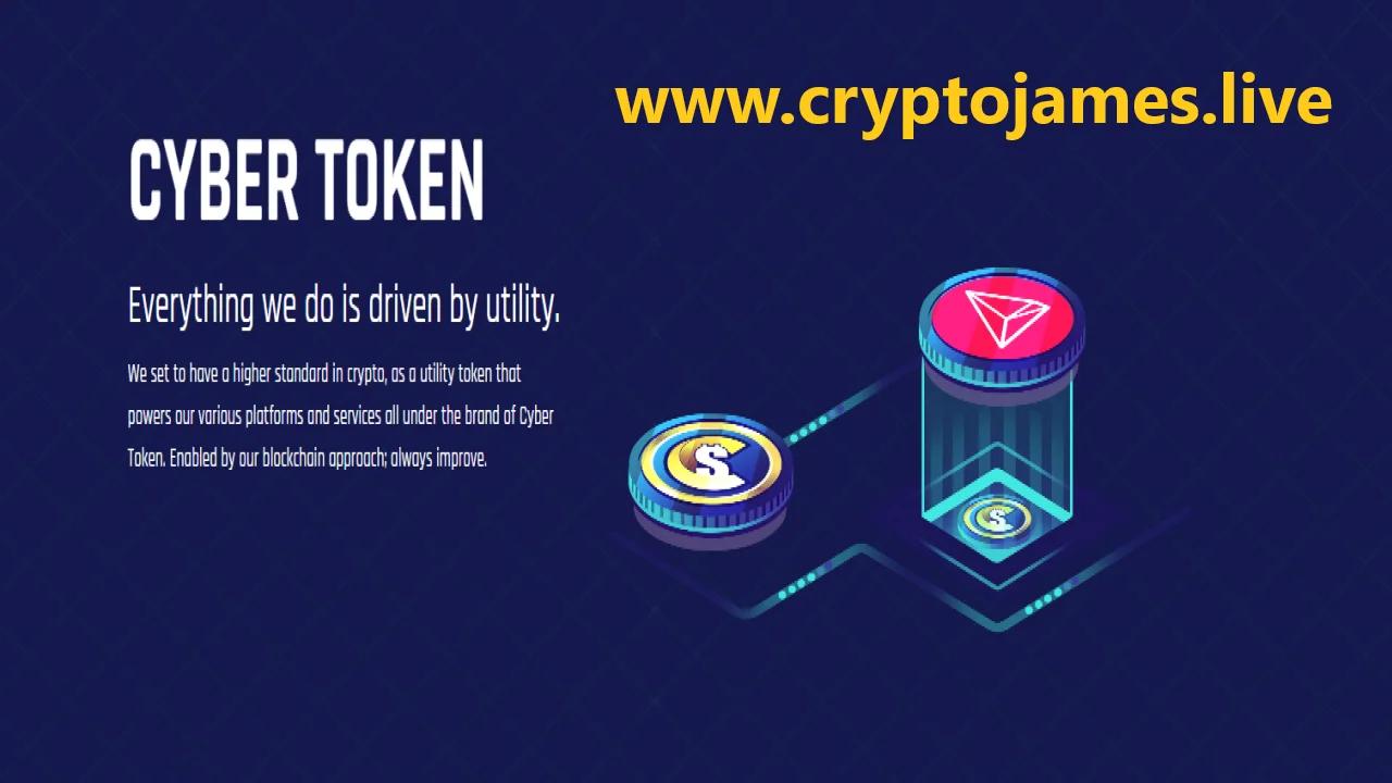 The Cyber Token White Paper Review