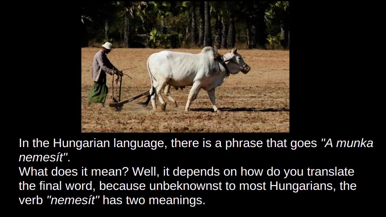 Does work ennoble you?