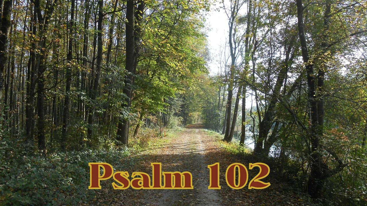 Psalm 102