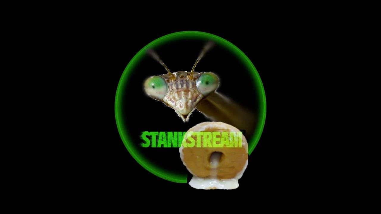 [LSA] Lord Finatra - 01/01/2022 - Stank n Poz