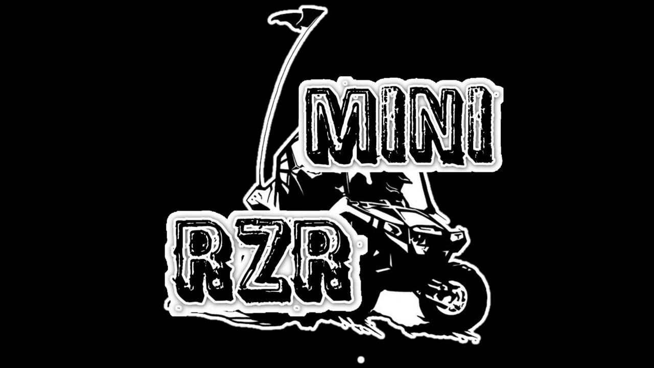 Mini RZR