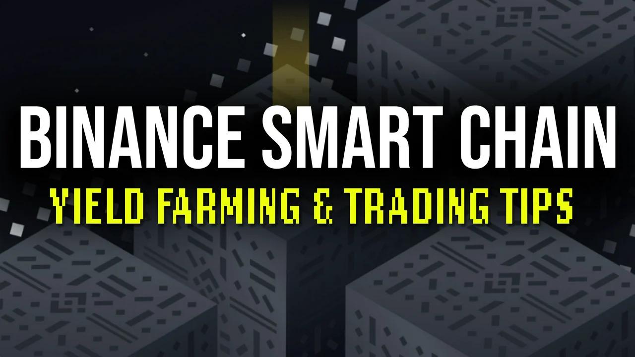Binance Smart Chain - BSC Yield Farming & Trading Tutorials 💰