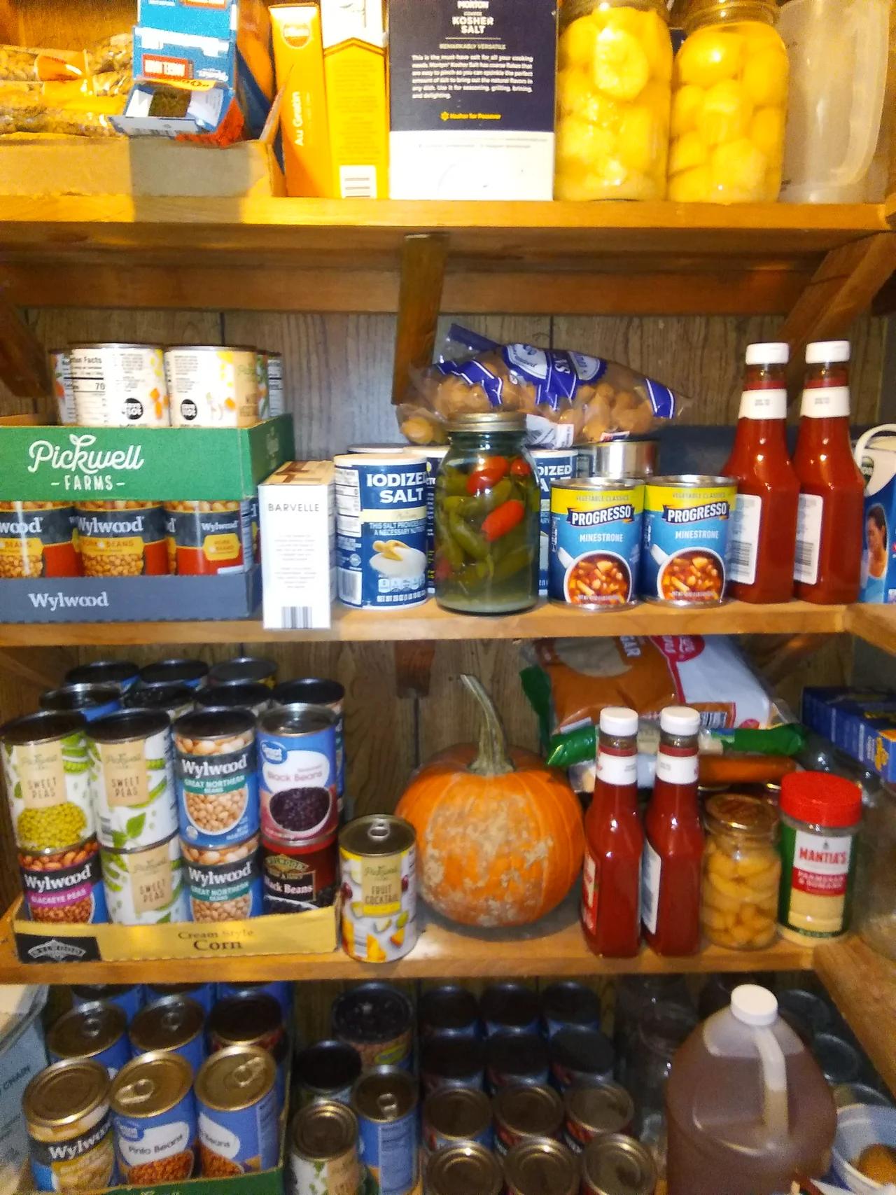 Prepping 101: Definitions and basics