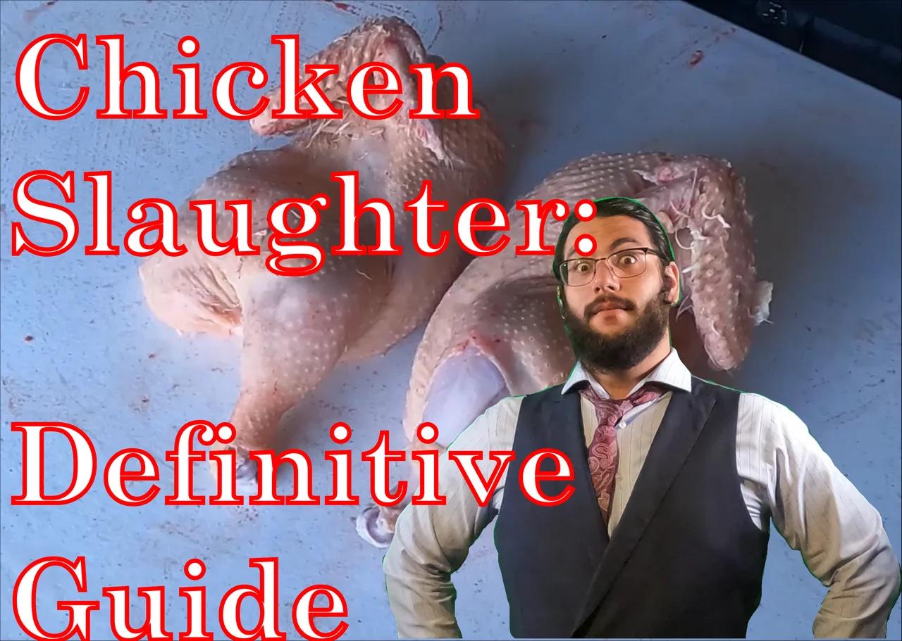 Chicken Processing Start To Finish