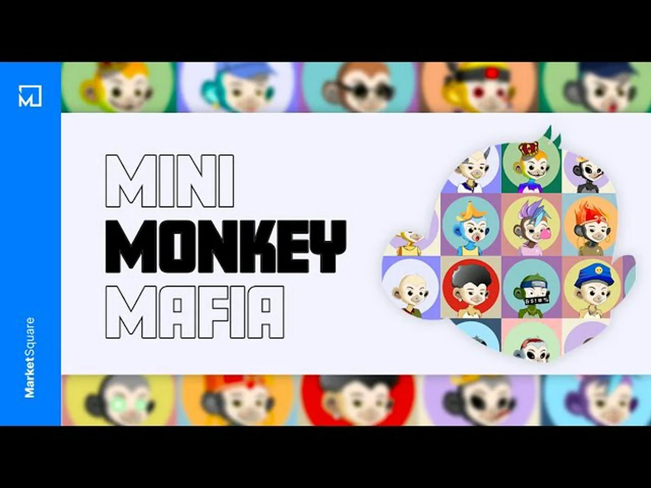 What are Mini Monkey Mafia NFTs? | NFT Collection | Non-Fungible Tokens ...