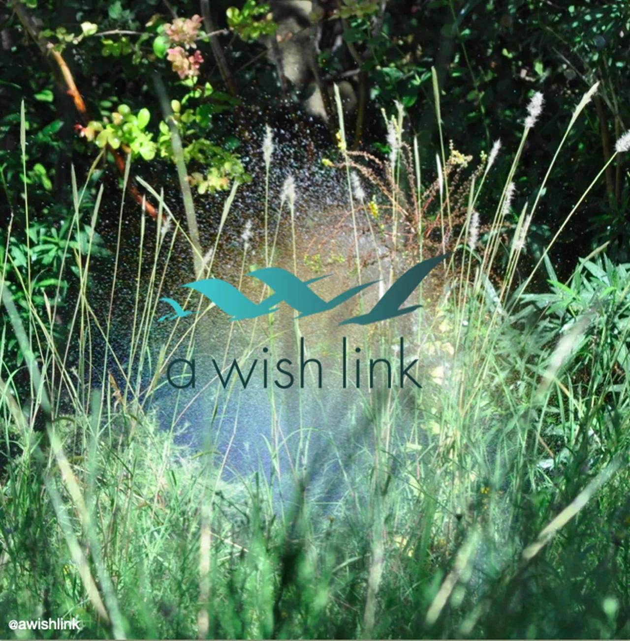 A Wish Link