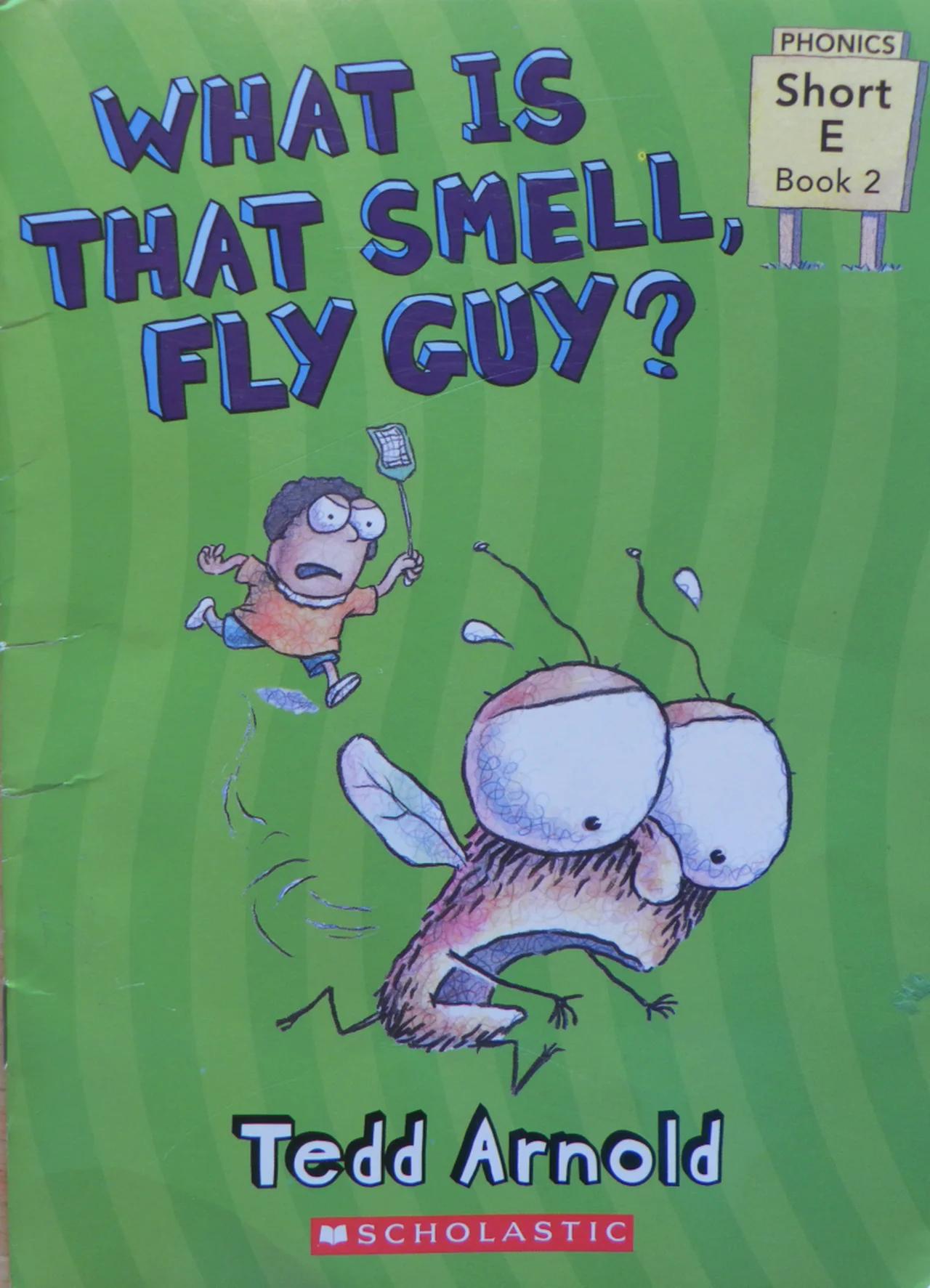 What is that Smell, Fly Guy?