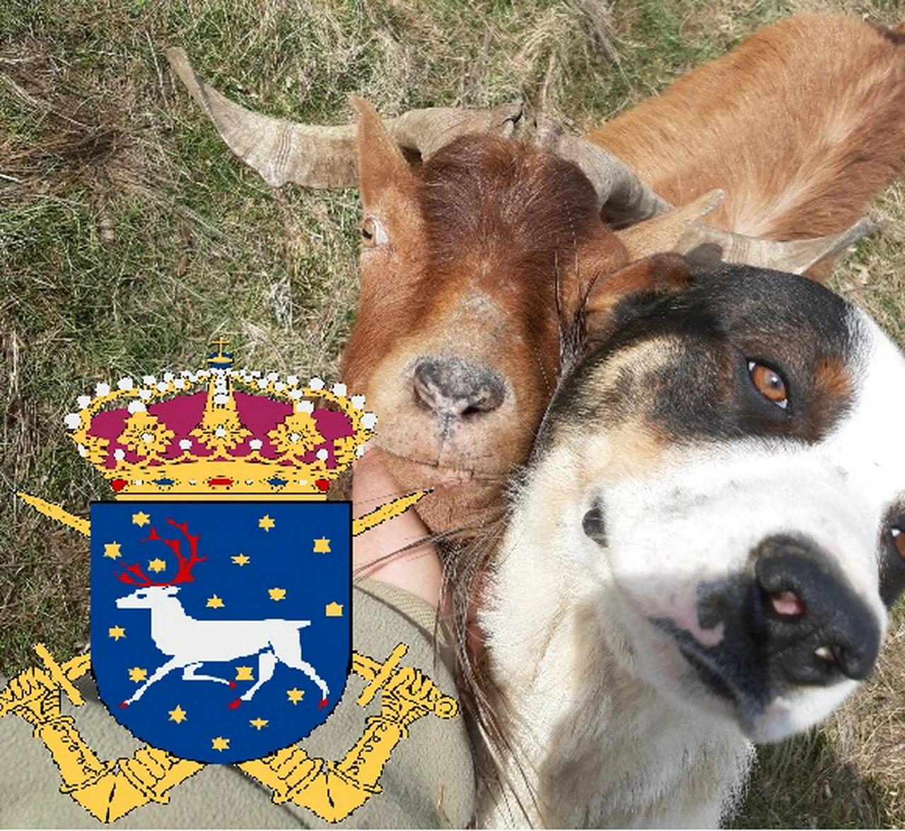 Lil Goat and Friends