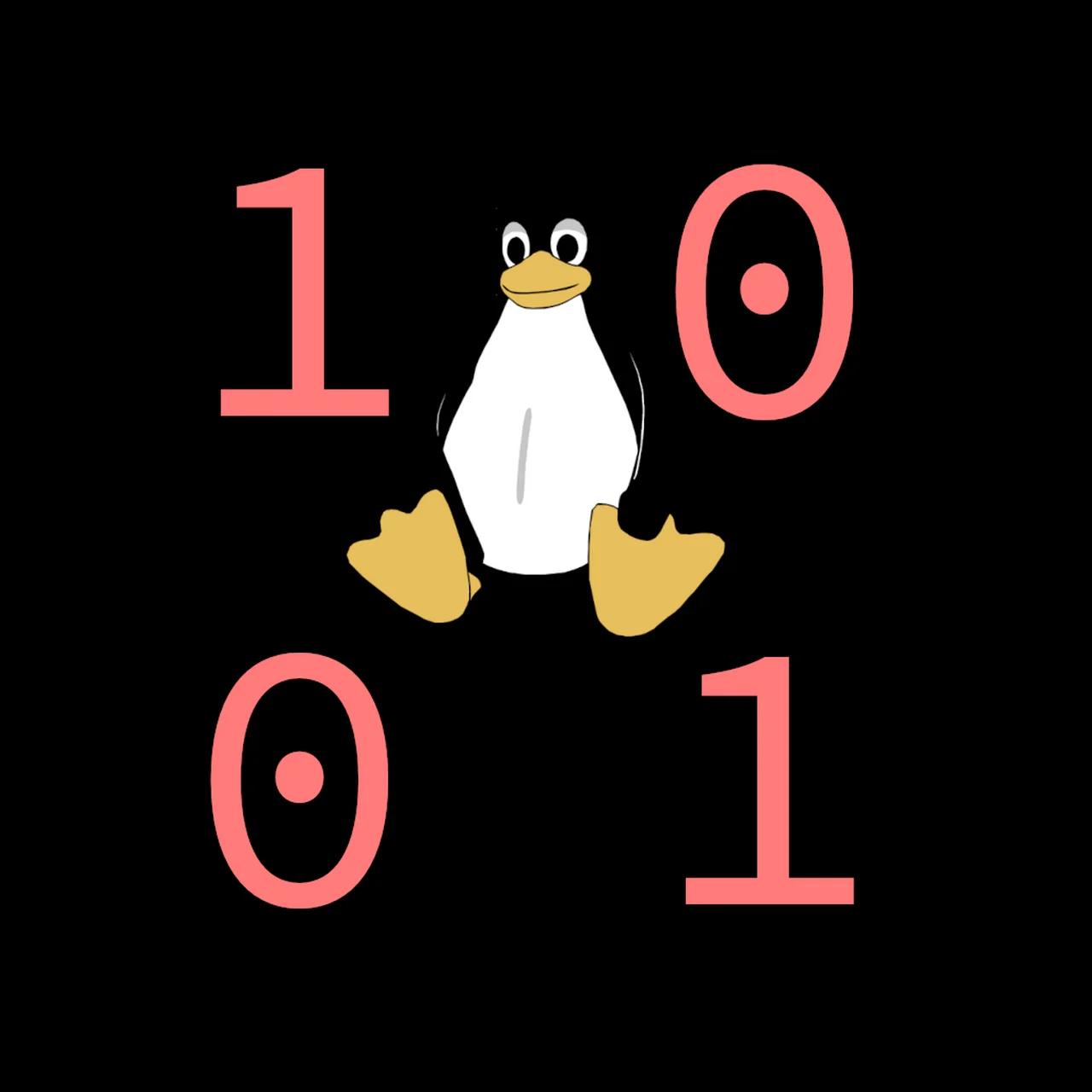 The Linux Enthusiast