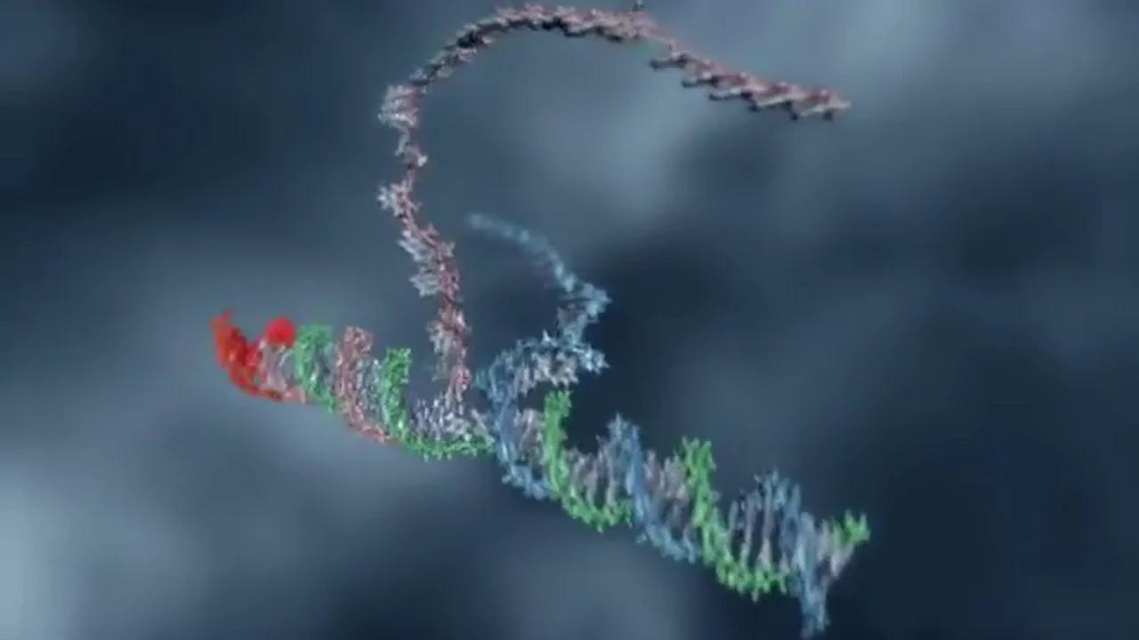 Microsoft Research Programming Dna With Prof Georg Seelig Dr