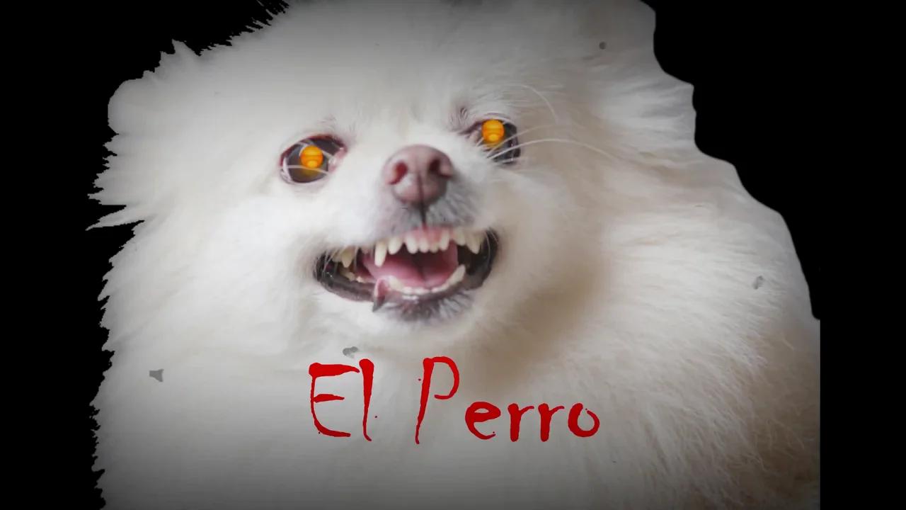 Cuentos Gregorianos de Terror: El Perro - Creepypasta