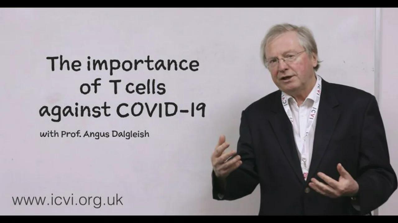 Prof. Angus Dalgleish explains the effect of vitamin D3 on T cells