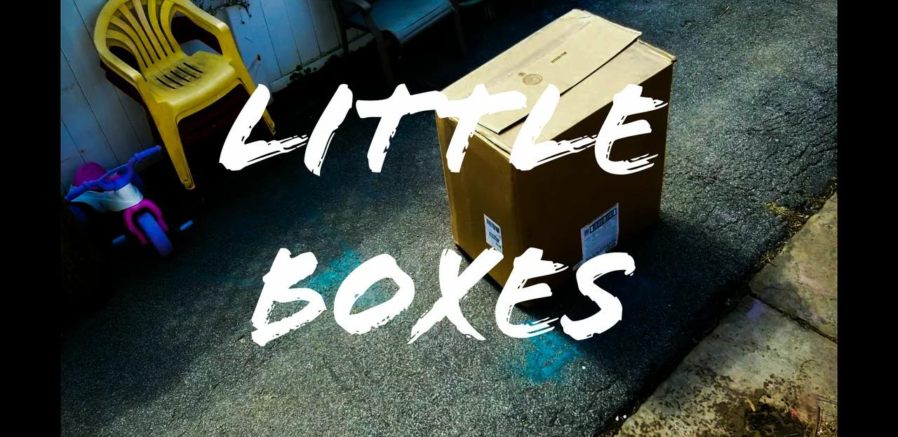 Little Boxes - Cover by "Walk Off The Earth" (Original by Malvina Reynolds)