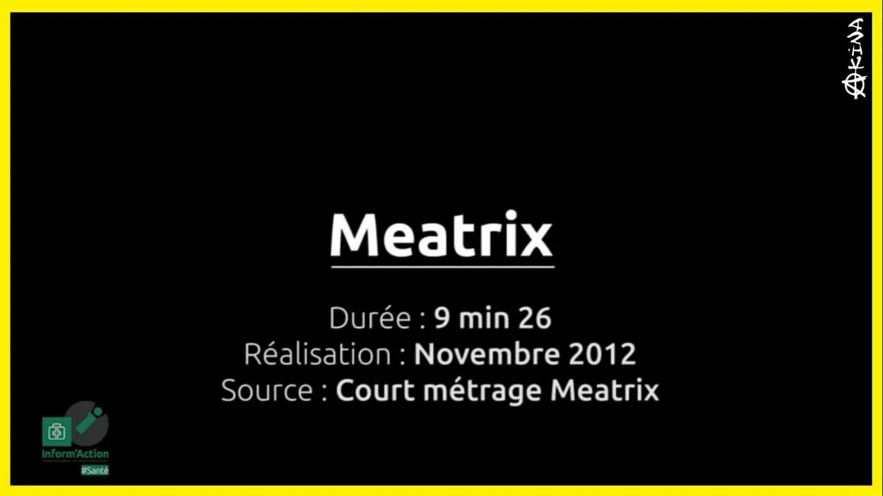 📀 DVD 2014 📂 Entrée 72 🎥 Meatrix