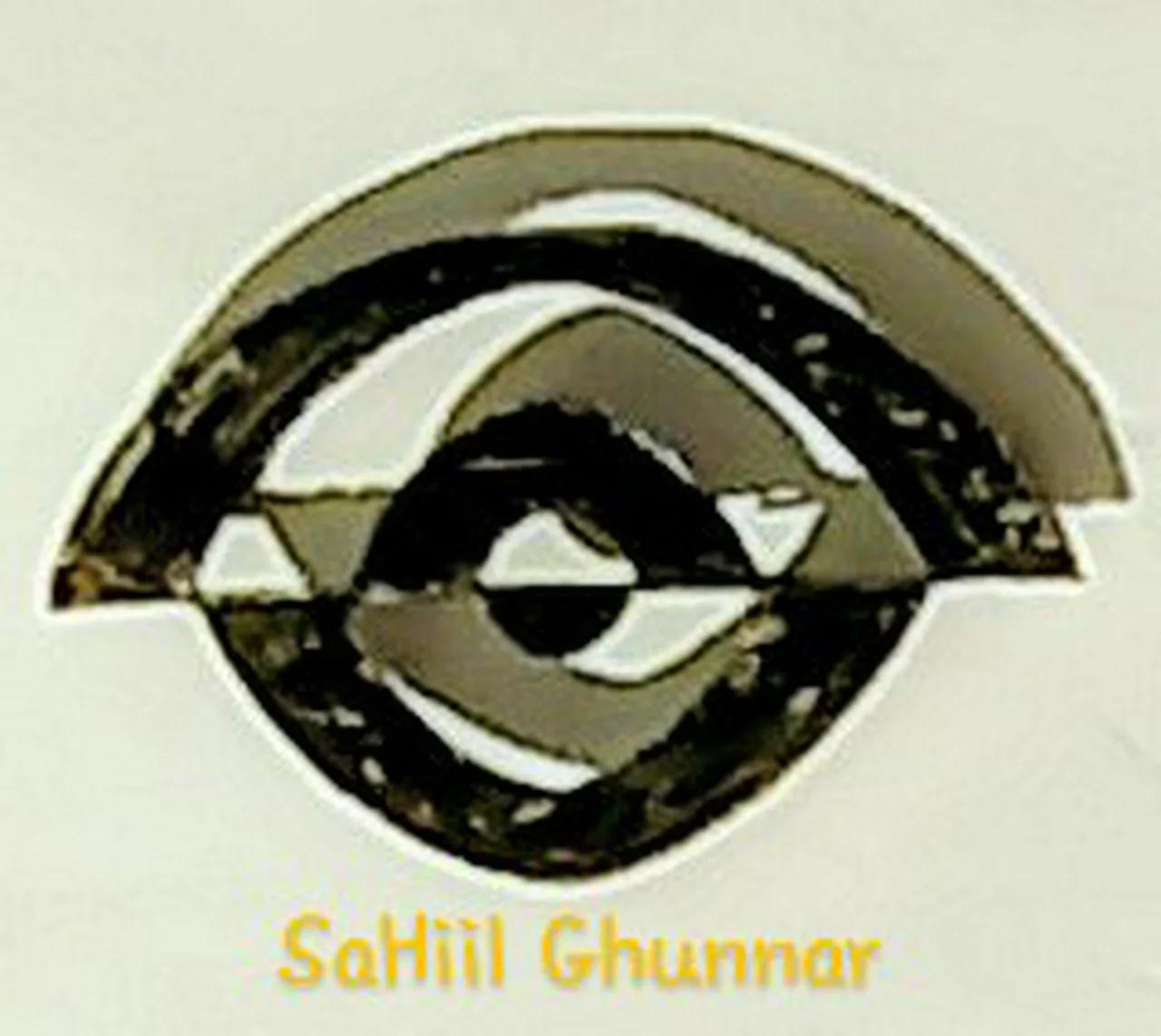 WORLDWIDE Sahill Ghunnar