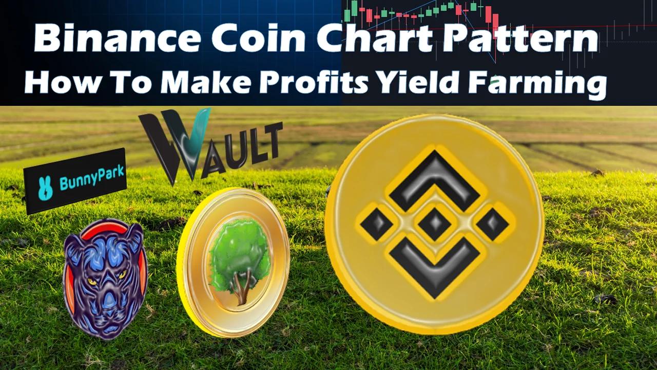 Binance Coin Price Chart Pattern | How to Make Profits Yield Farming ...