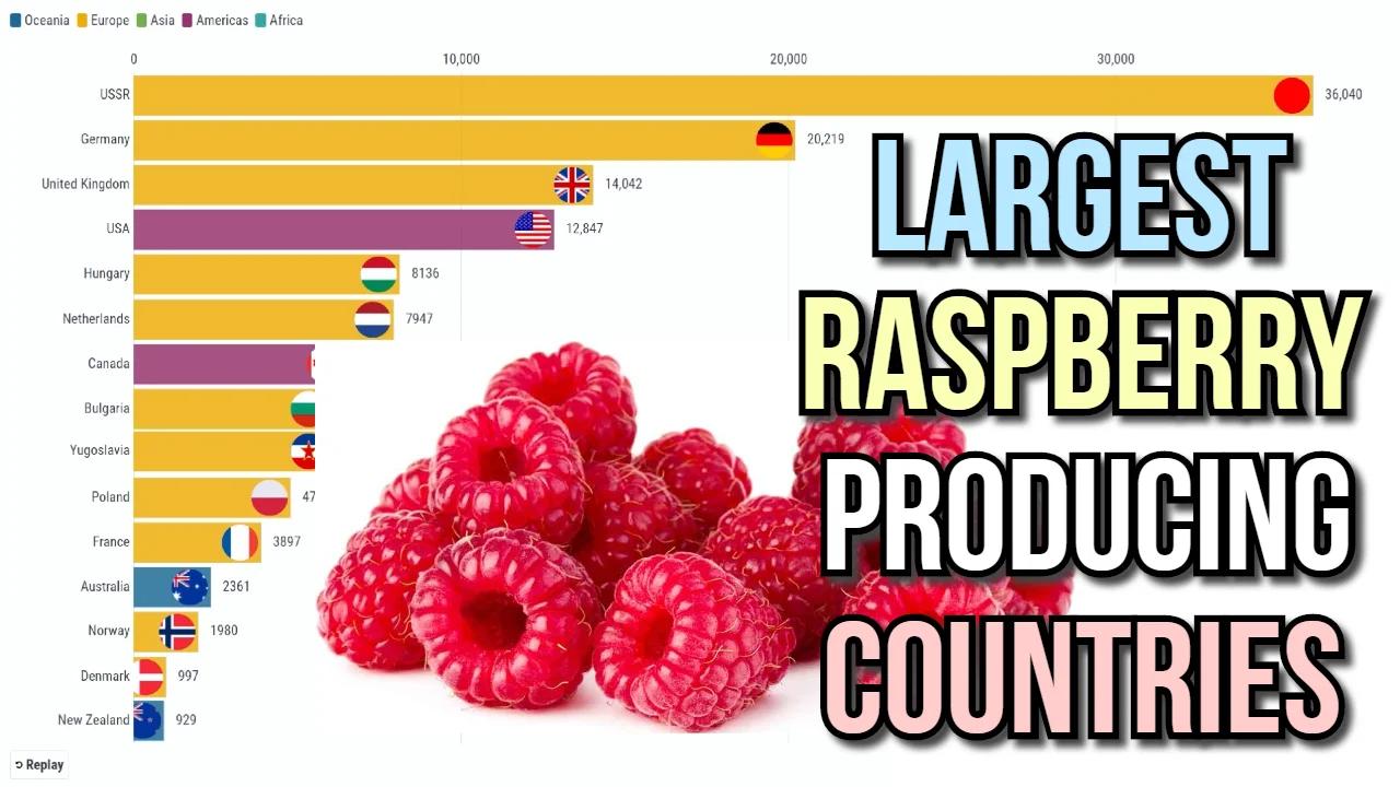 Largest raspberry producing countries