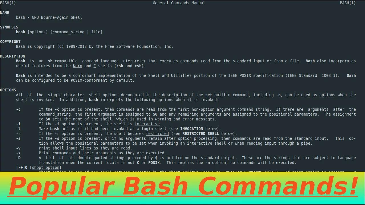 Popular Bash Commands Overview!