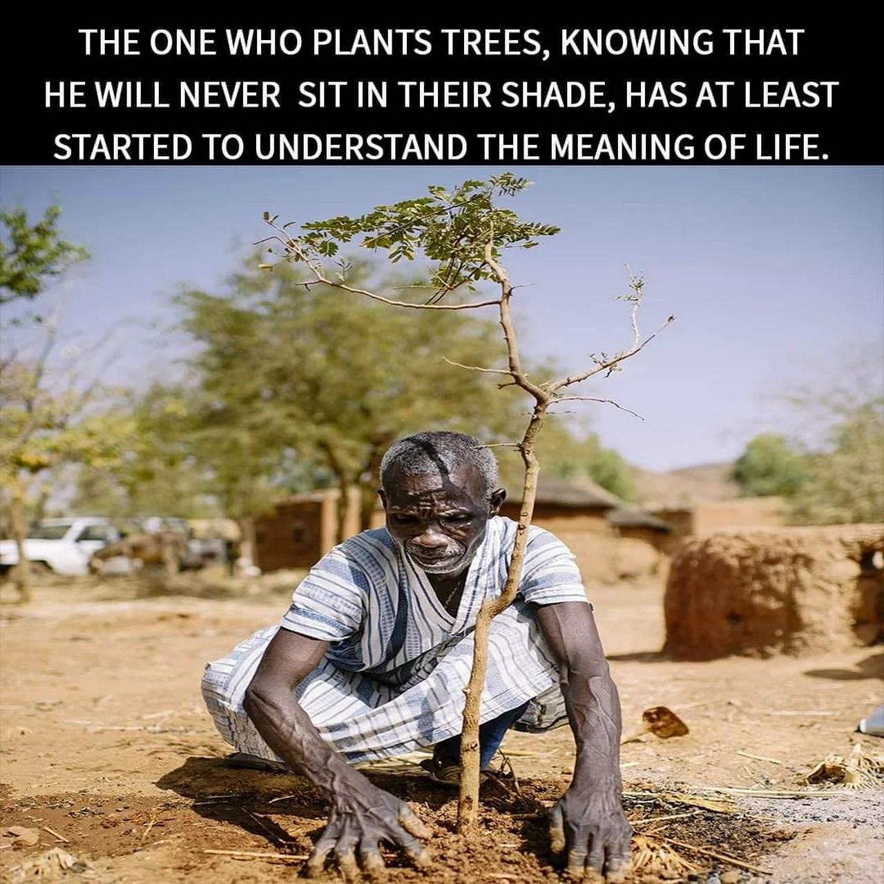 The One Who Plants Trees Knowing He Will Never Sit in their Shade, At ...