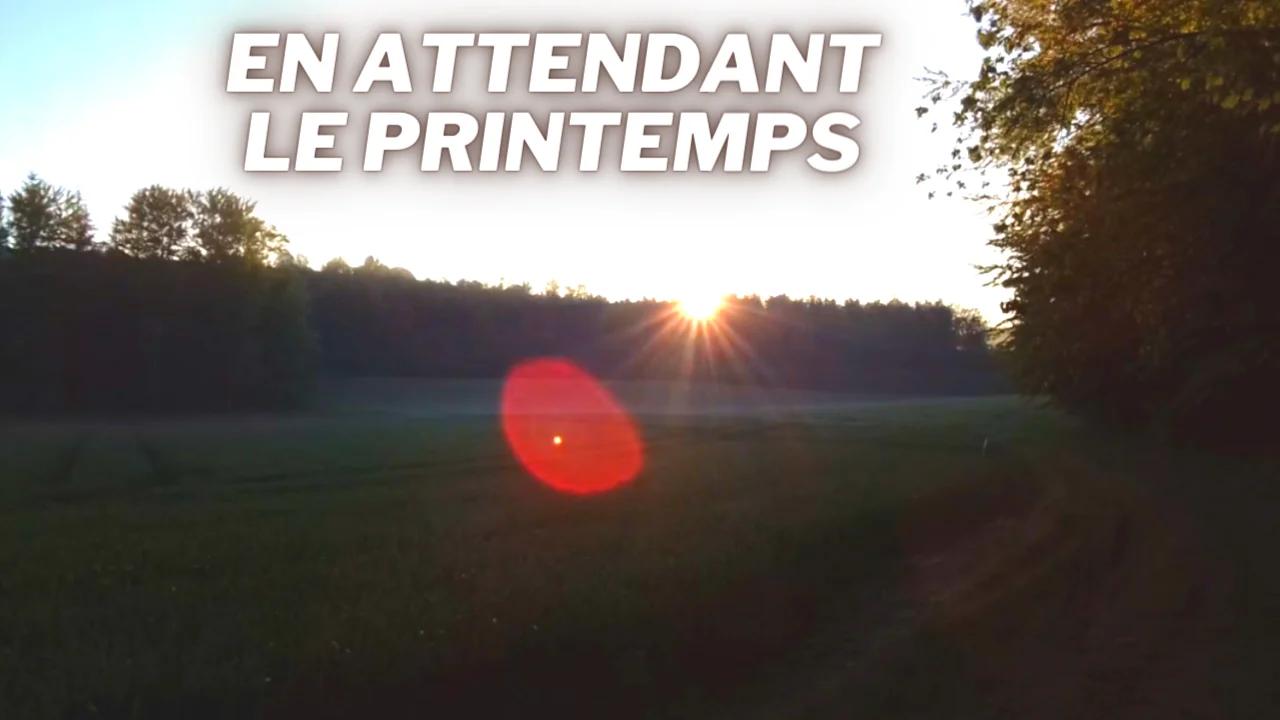 En attendant le printemps