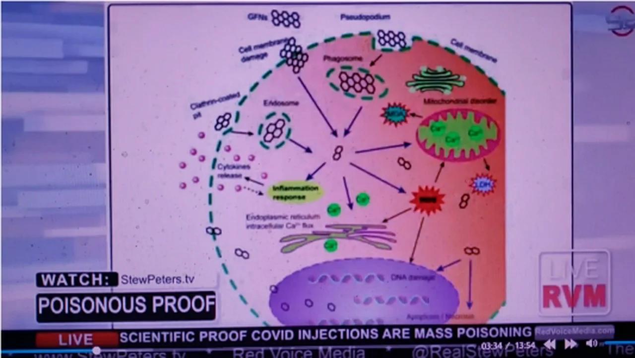 Stew Peters and Dr Jane Ruby What Is Graphene Oxide