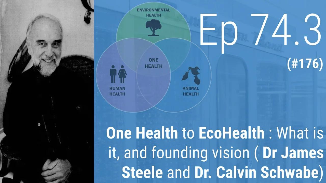 Ep 74.3: One Health to EcoHealth : What is it, and founding vision ( Dr ...